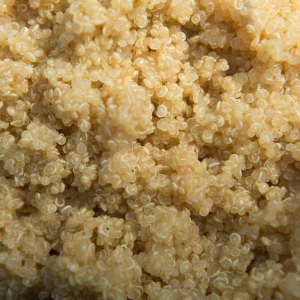 7-benefits-of-quinoa-the-supergrain-of-the-future-638931_grande.jpg?v ...
