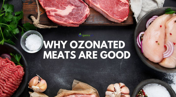 why-ozonated-meats-are-good-705742_grande.jpg?v=1659503364