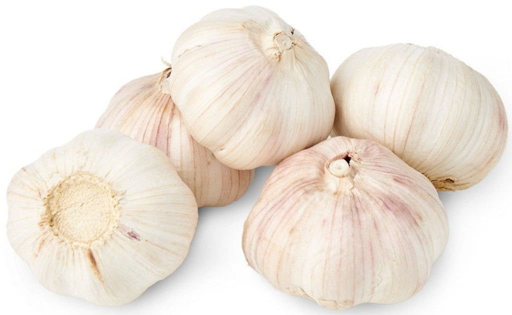 Fresh Garlic