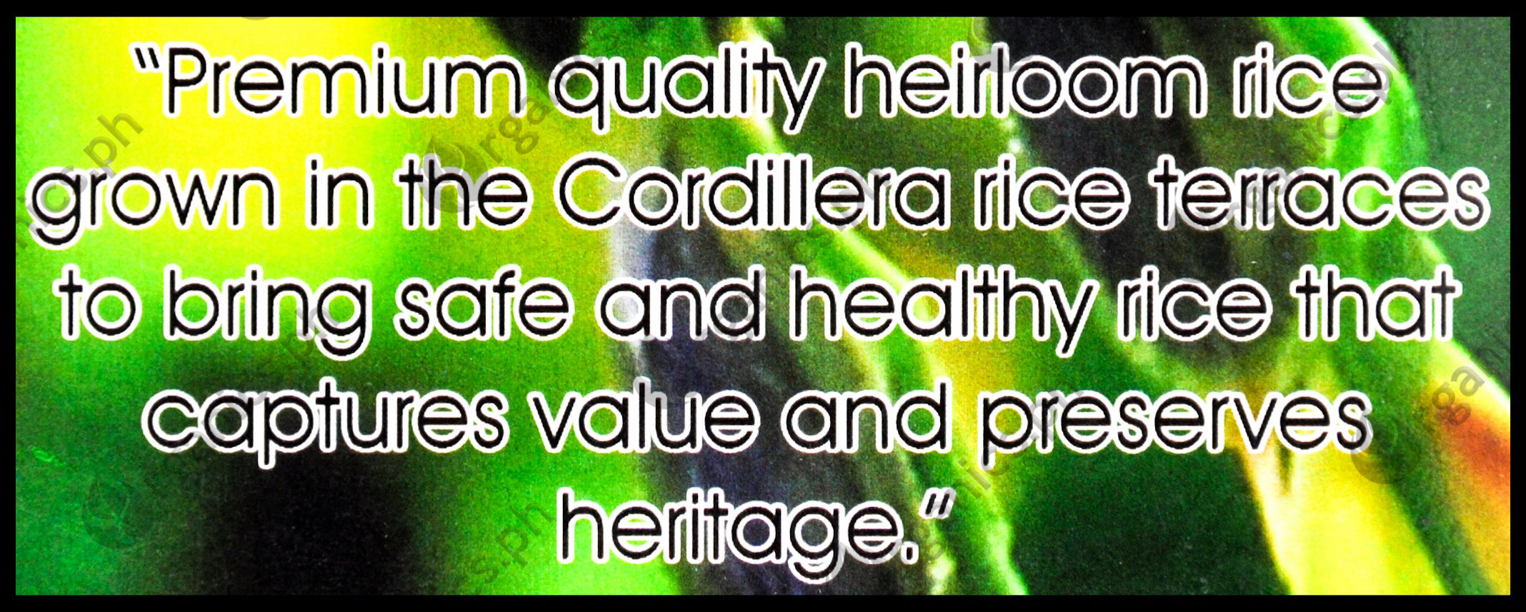 Mt. Province Heirloom Organic Purple Rice (1kg)