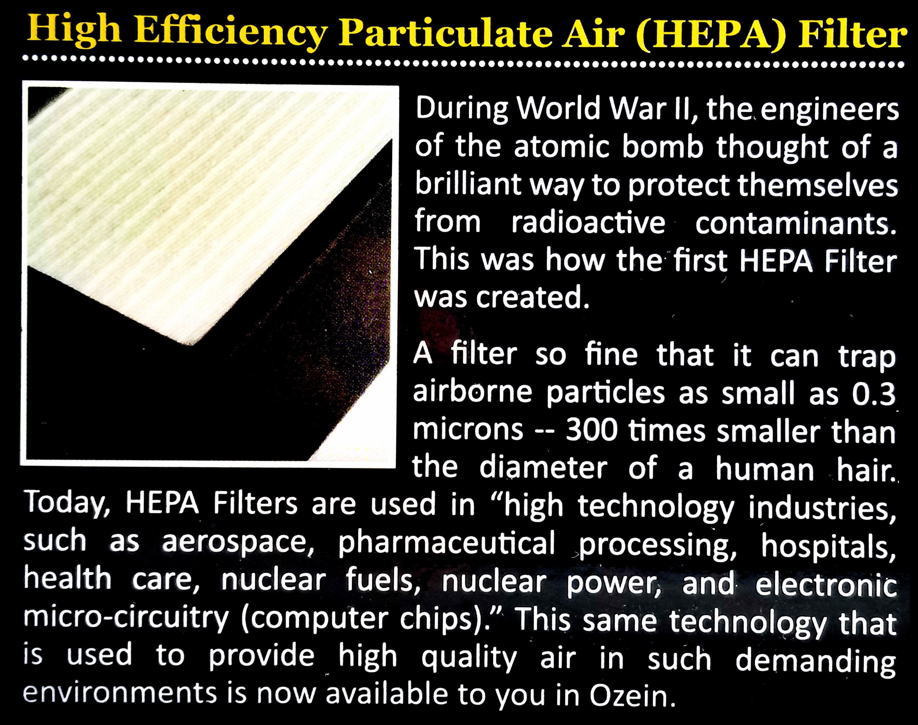 Ozein Ozonator HEPA and Carbon Filter (2 filters)