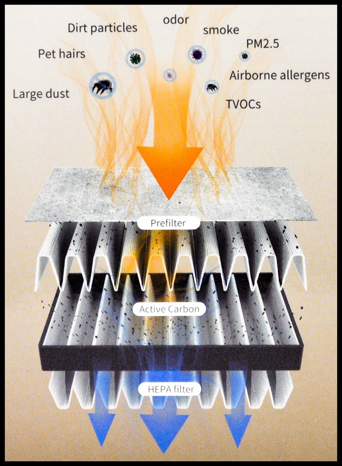 Facebook Pinterest Twitter