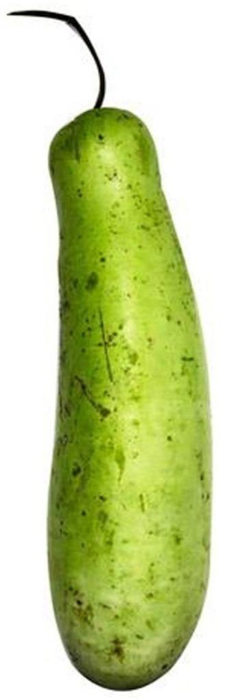 Upo Vegetable Clipart